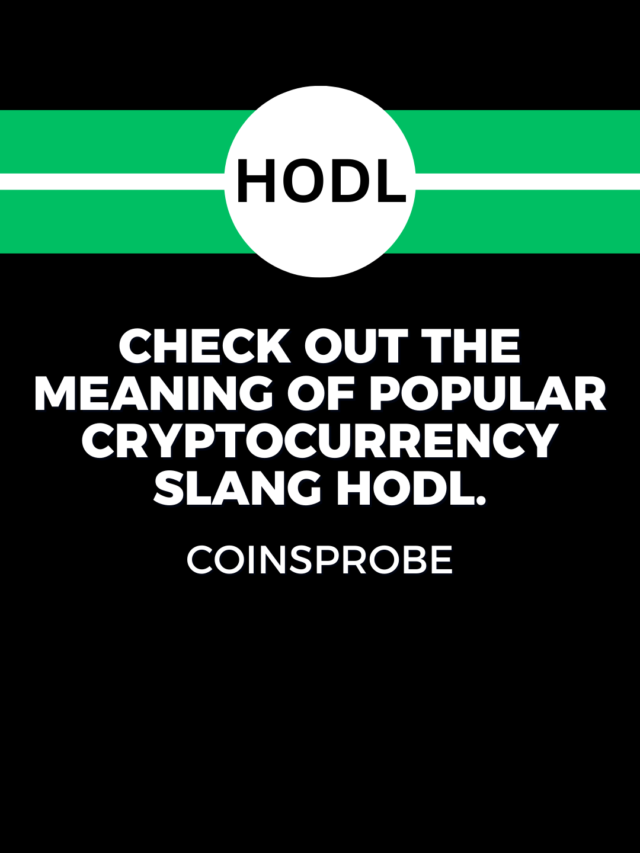 Check Out The Meaning Of Popular Cryptocurrency Slang HODL CoinsProbe Check Out The Meaning Of Popular Cryptocurrency Slang HODL CoinsProbe